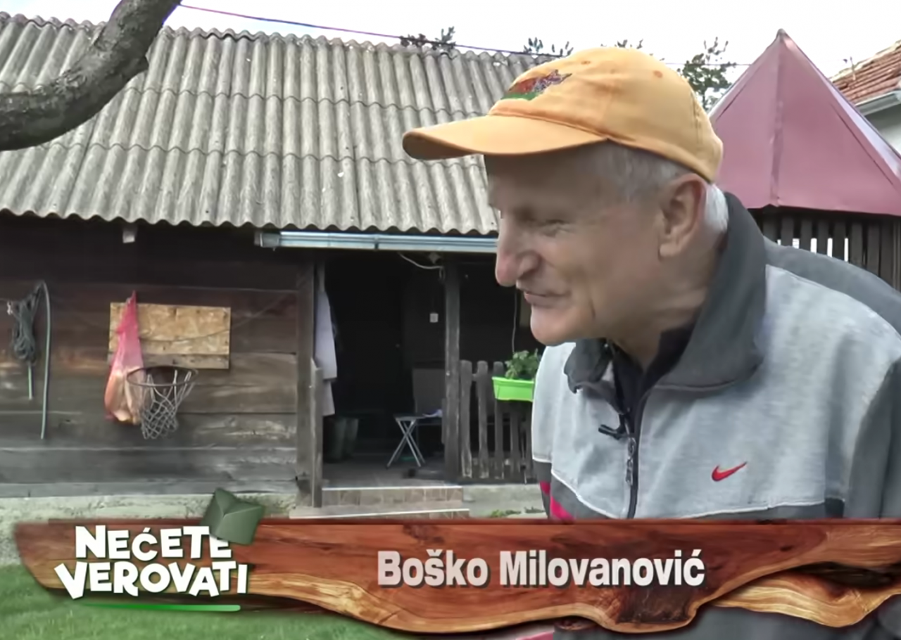 Čudo u Srbiji: Rodilo se prase bez ušiju! "To nikada nismo videli" (video)